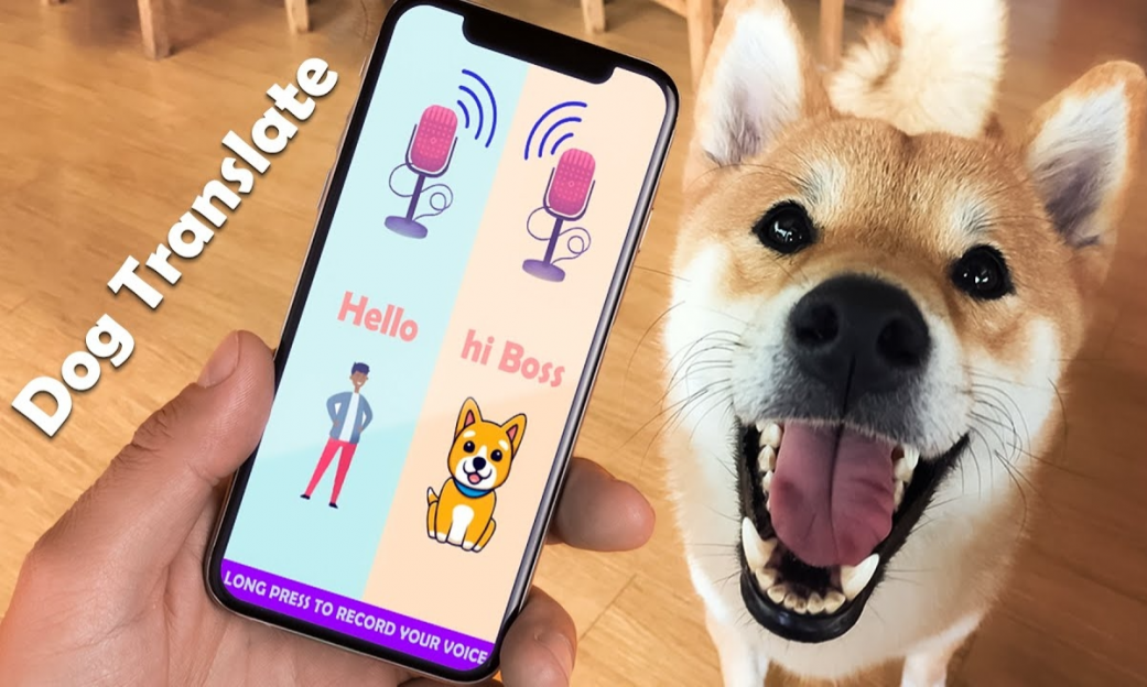 Best App Downloader - apkzonic