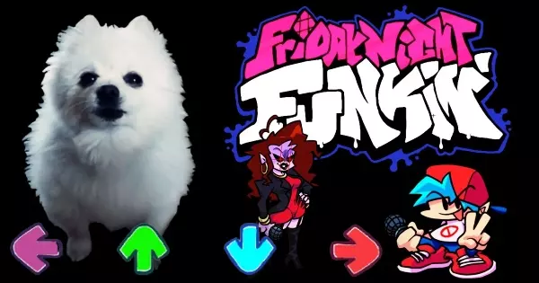 Elige un animal y descubre qué Mod popular de FNF te define - quiztest ...