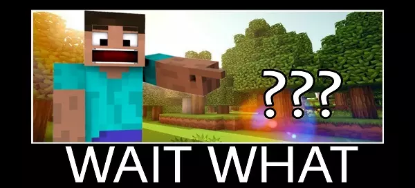 Your Favorite Wait What Meme Will Predict Which Type of Minecraft ...
