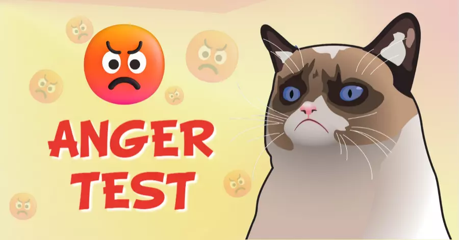 Anger Test | Do You Have Anger Monsters In Your Body? - Testname.me ...