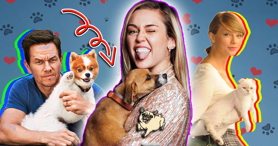 quiztest.me|All Quizzes, Trivia, Photo Effects and Viral Trends