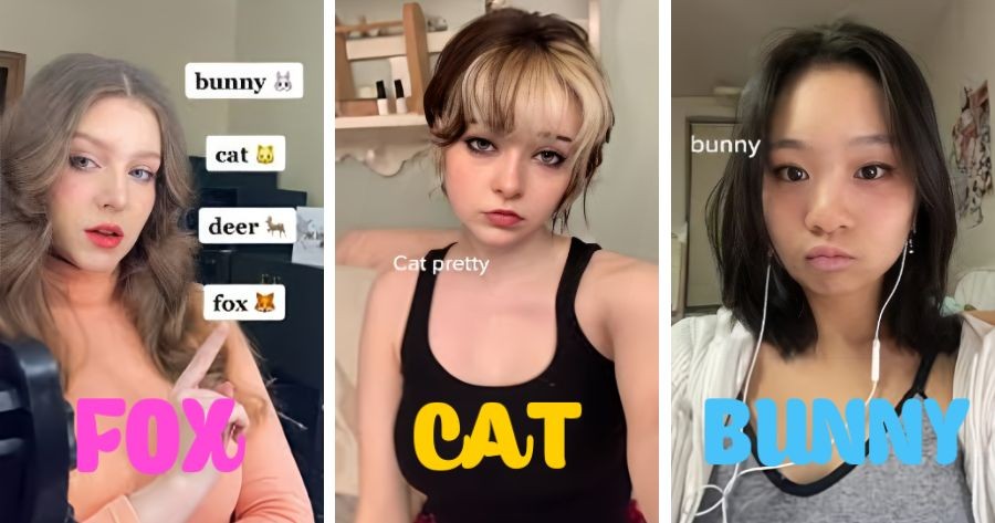 Are You Fox Pretty, Cat Pretty, Or Bunny Pretty? - Testname.me - Free ...