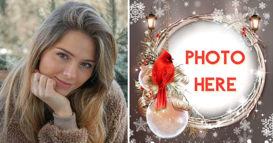 Enhance Your Winter Photo With Snowflakes! - DiggFun | All Games Quizzes, Trivia, Photos and ...