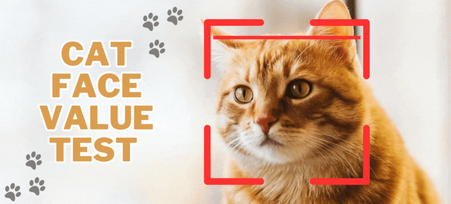 Cat Face Value Test | How Beautiful Is Your Cat? - postfunny.com- Free ...