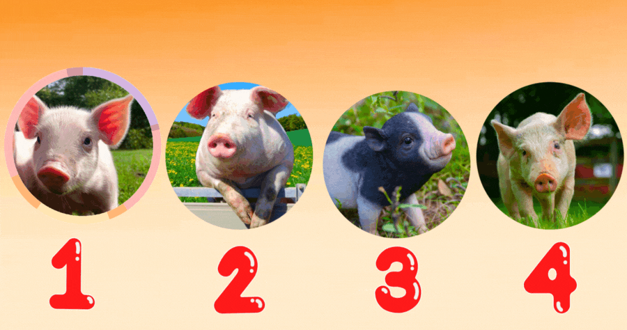 Нажмите на Свинью и Узнайте, какая Удача вас Ждет! - testname.me – это ...